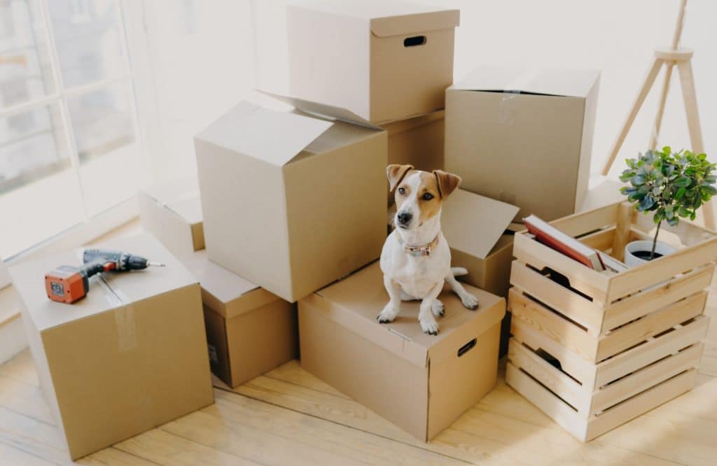 The Reasons Why You Need To Break Down Boxes